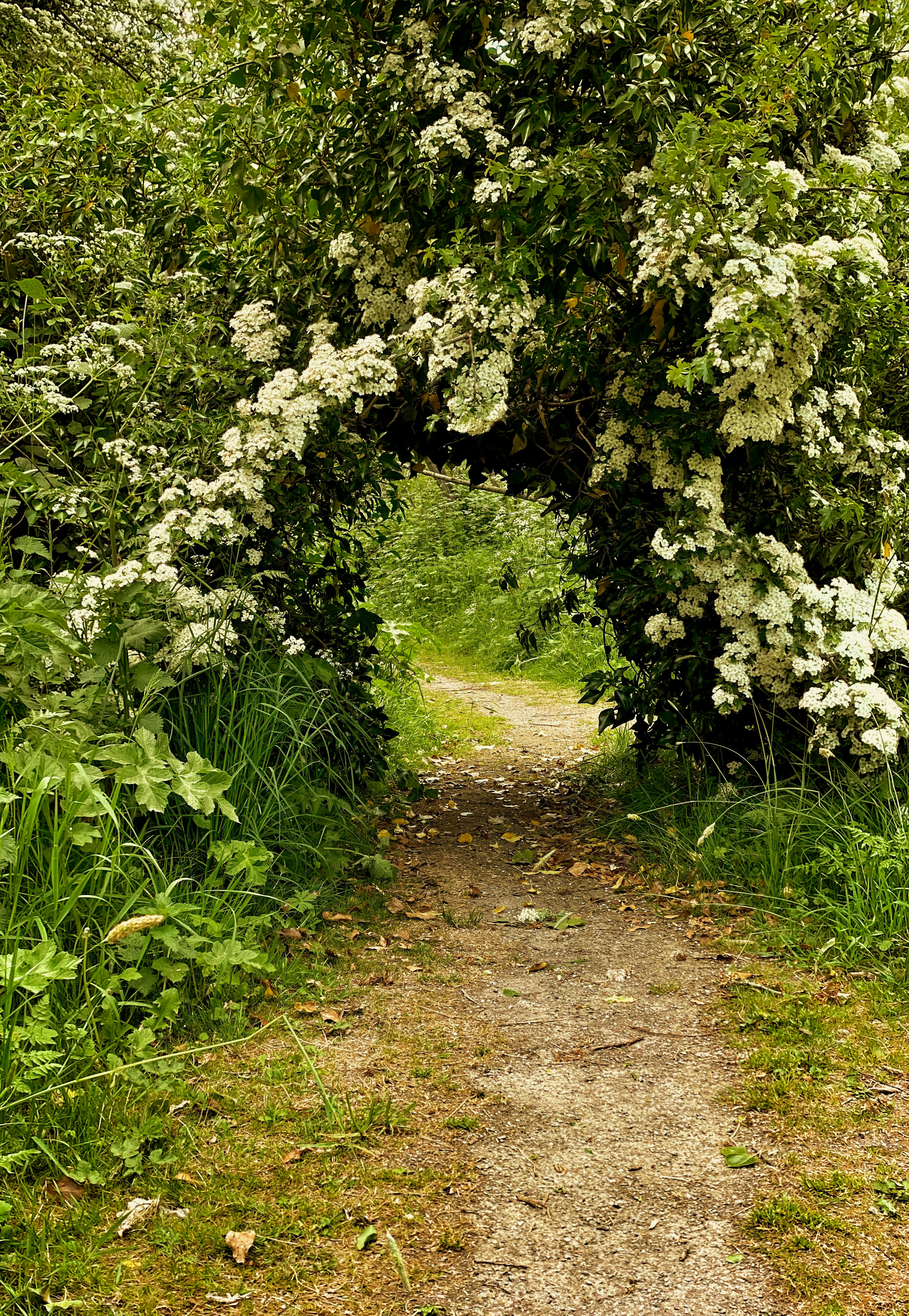 The Art of The Secret Garden – Cozy Ramble Cottage